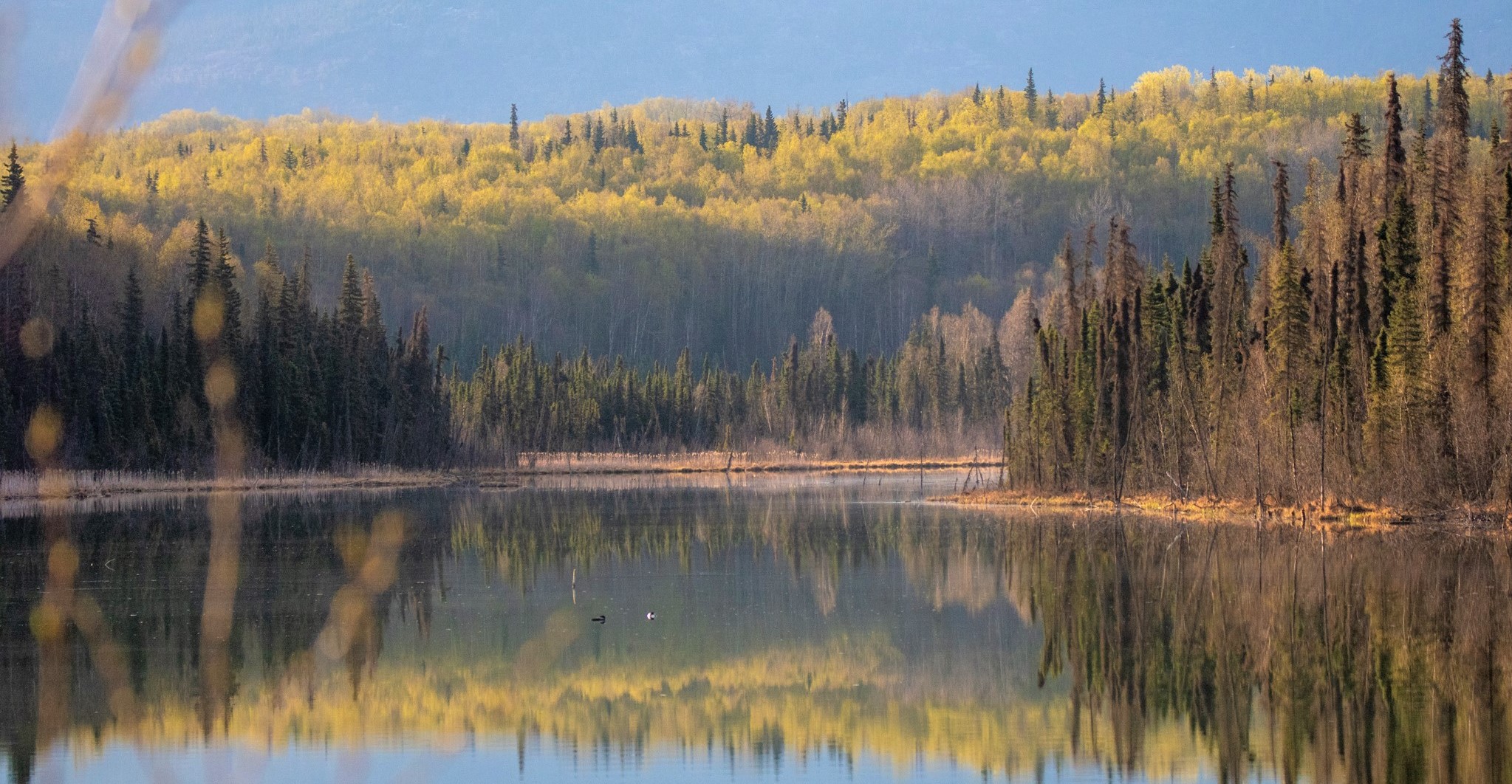 Loading | Rec Access