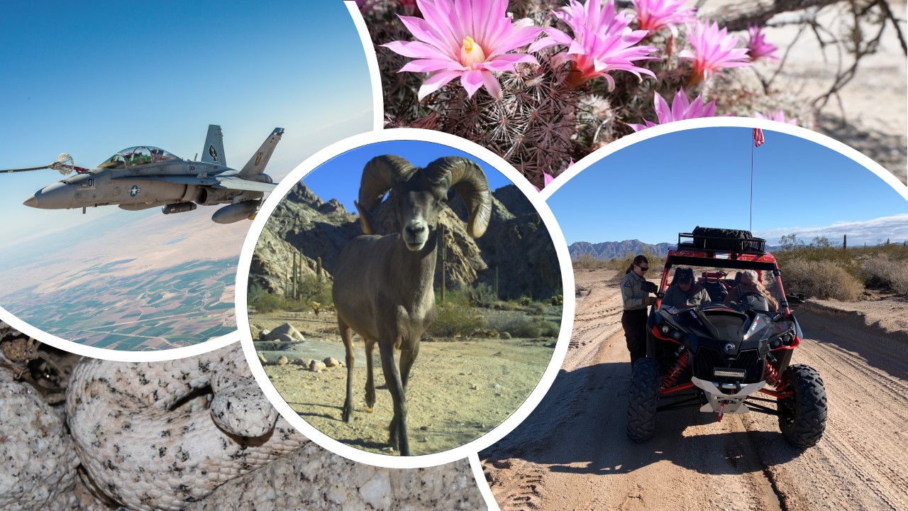 Loading | Rec Access